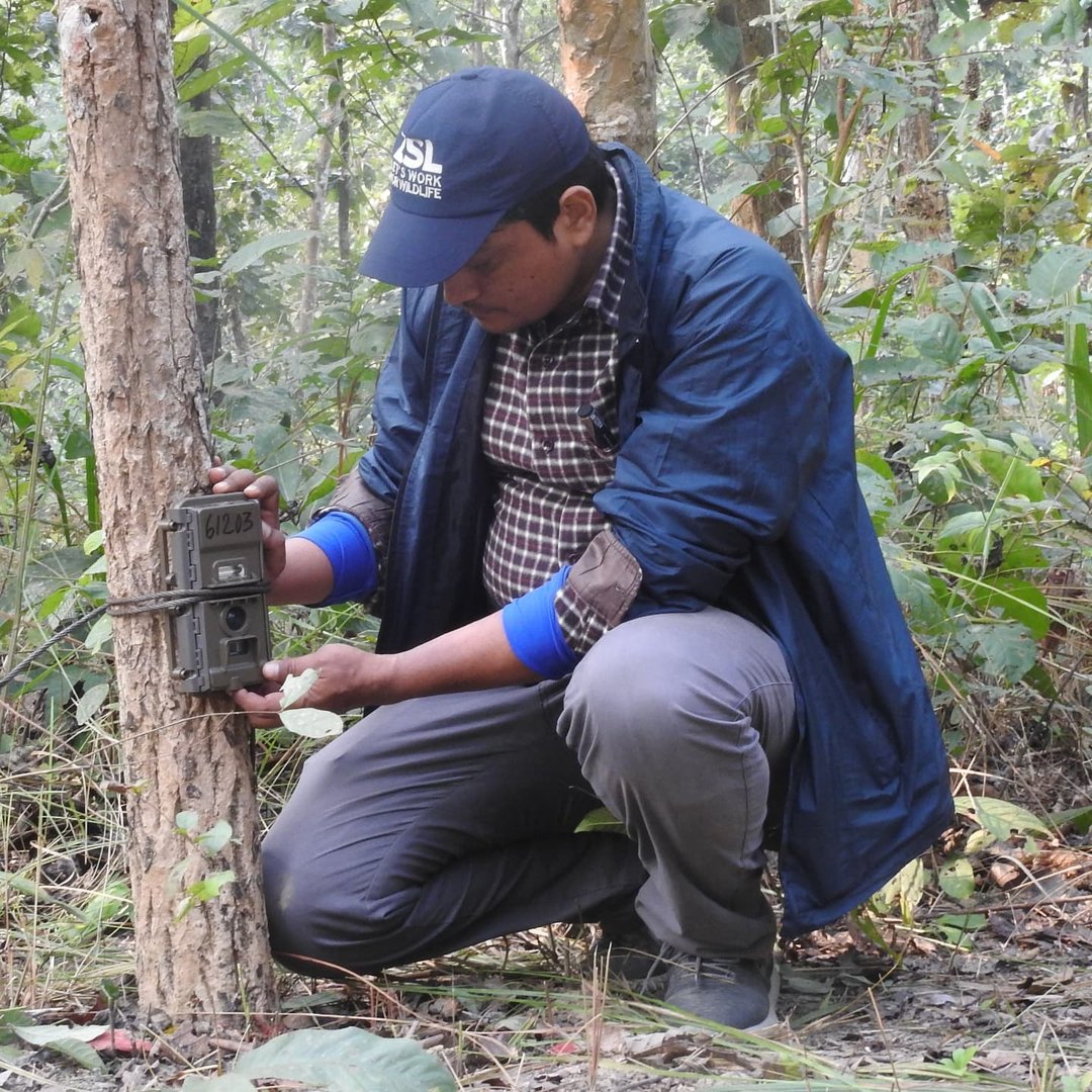 Dipendra Memorial - Nepal Conservation and Research Center
